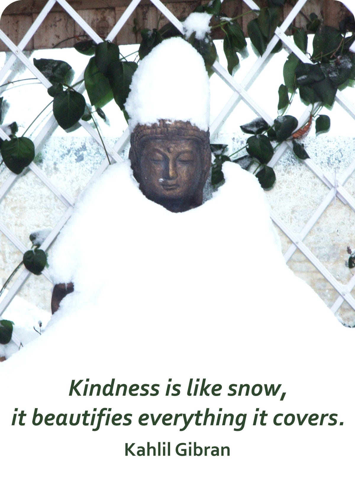 KINDNESS: Mindful Rune 22 of 25. Can you suggest 3 acts of kindness ...