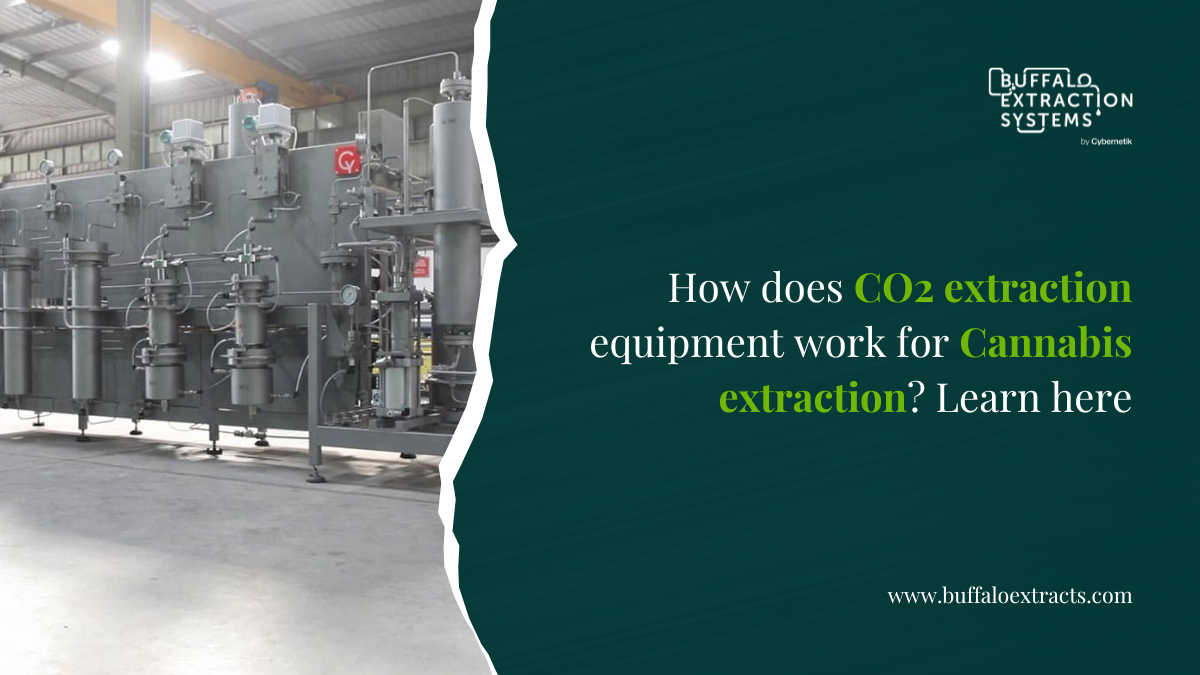 How CO2 Extraction Equipment Works For Cannabis Oil Extraction ...