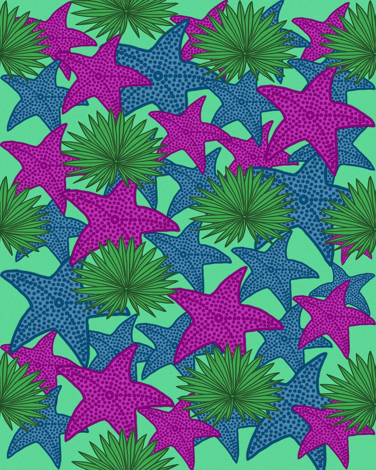 THE PRINT STORY. Finding Starfish | by STHRI | Medium