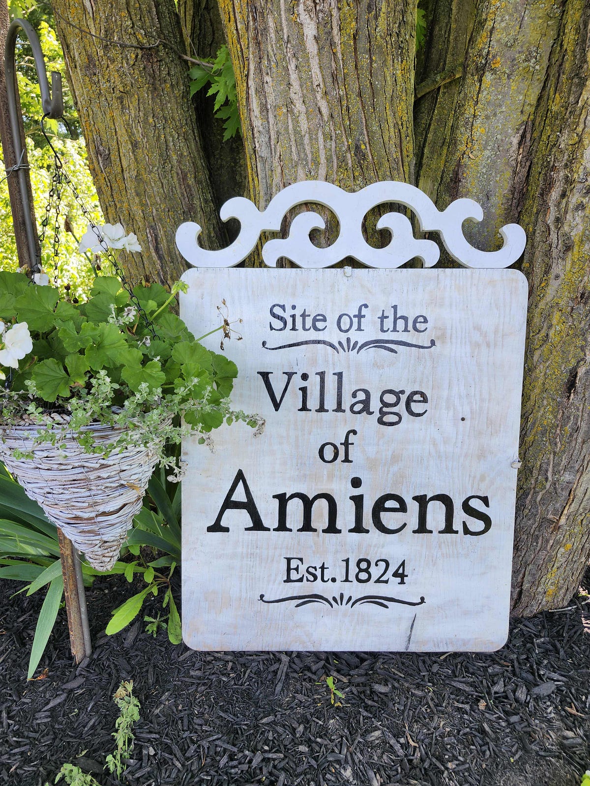 Lost Village. Remembering a pioneer settlement | by Derek J. Allison ...