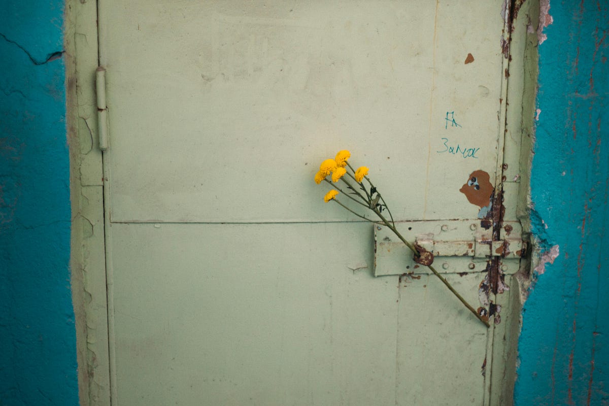 Being Nice and Being Kind Are Not Always the Same | by Snigdha ...