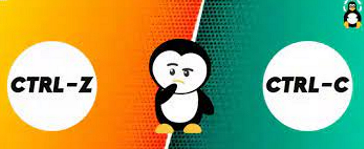 Demystifying Terminal Magic The Commands Behind Ctrl C And Ctrlz In Linux By P N Praveen