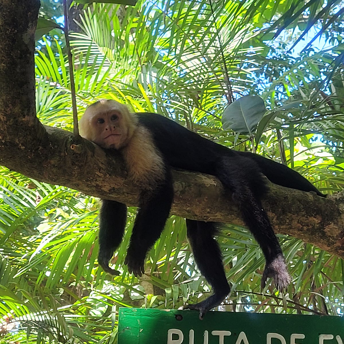 Am I crazy? A month-long experiment moving the family to Costa Rica ...