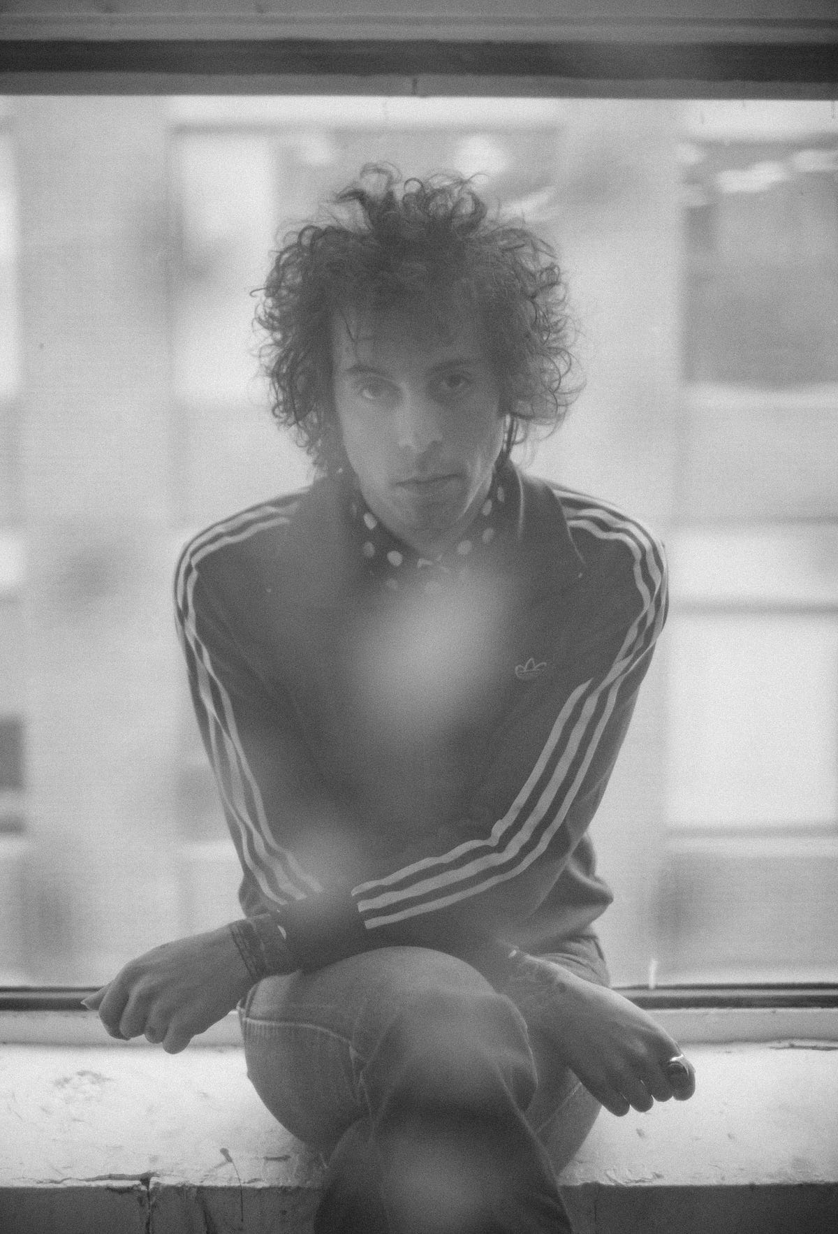 A Review of Daniel Romano’s “Mosey” | by Zachary Houle | Festival Peak