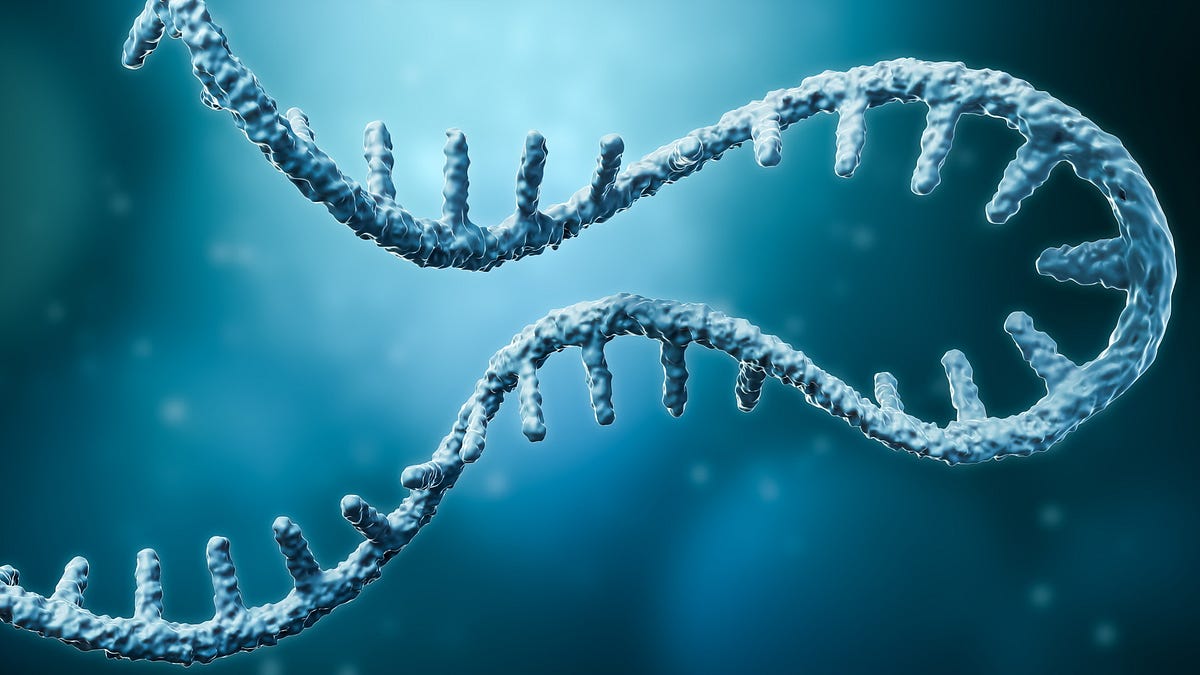 Custom Oligonucleotides for DNA and RNA Applications - Eurofins ...