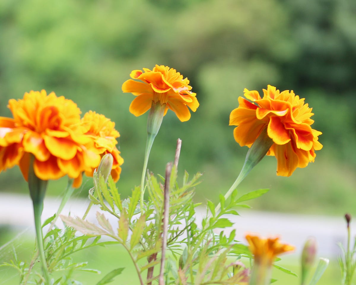 14 Ways to Make 14 Perfect. Created from true experiences | by Hello ...