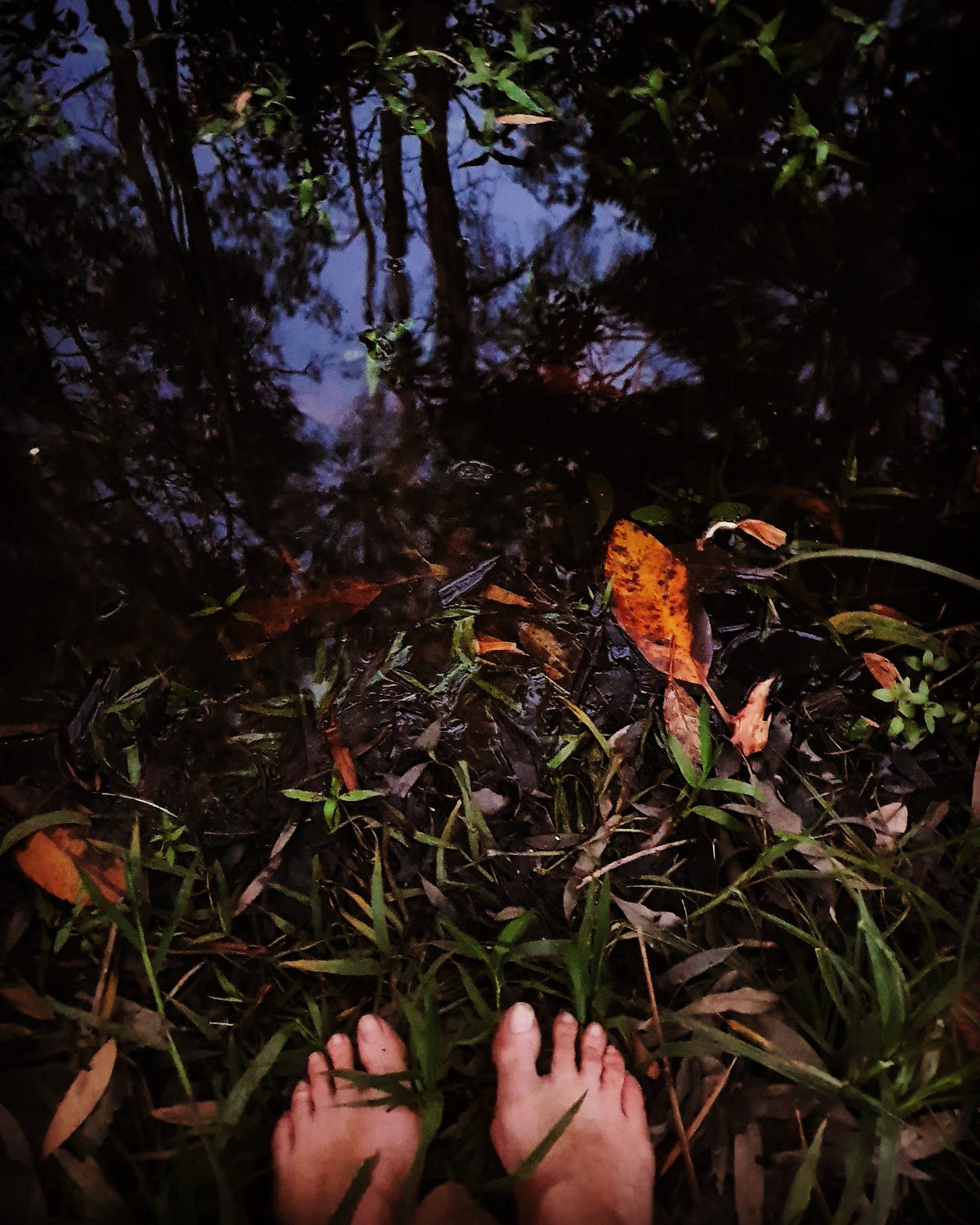 Anxious woke me. Anxious meets Compassion | by Musings And Poems | Jul ...