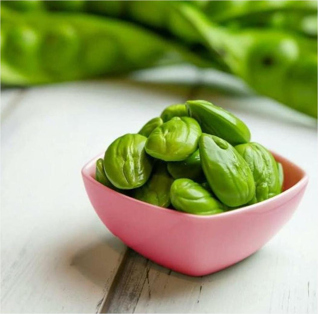 Bibit Pete Okulasipetai Jumbo Unggul Beli 4 Dapat 5, Hibrida Petai ...