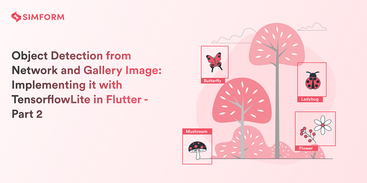 Object Detection From Network And Gallery Image Implementing It With Tensorflowlite In Flutter