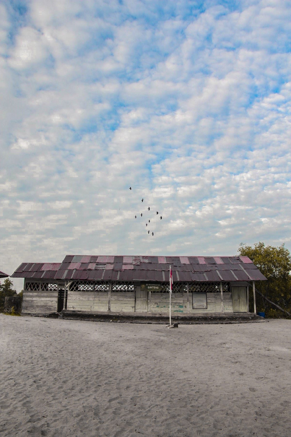 Rural Communities in the Eastern US Support Cleaner Transportation | by ...