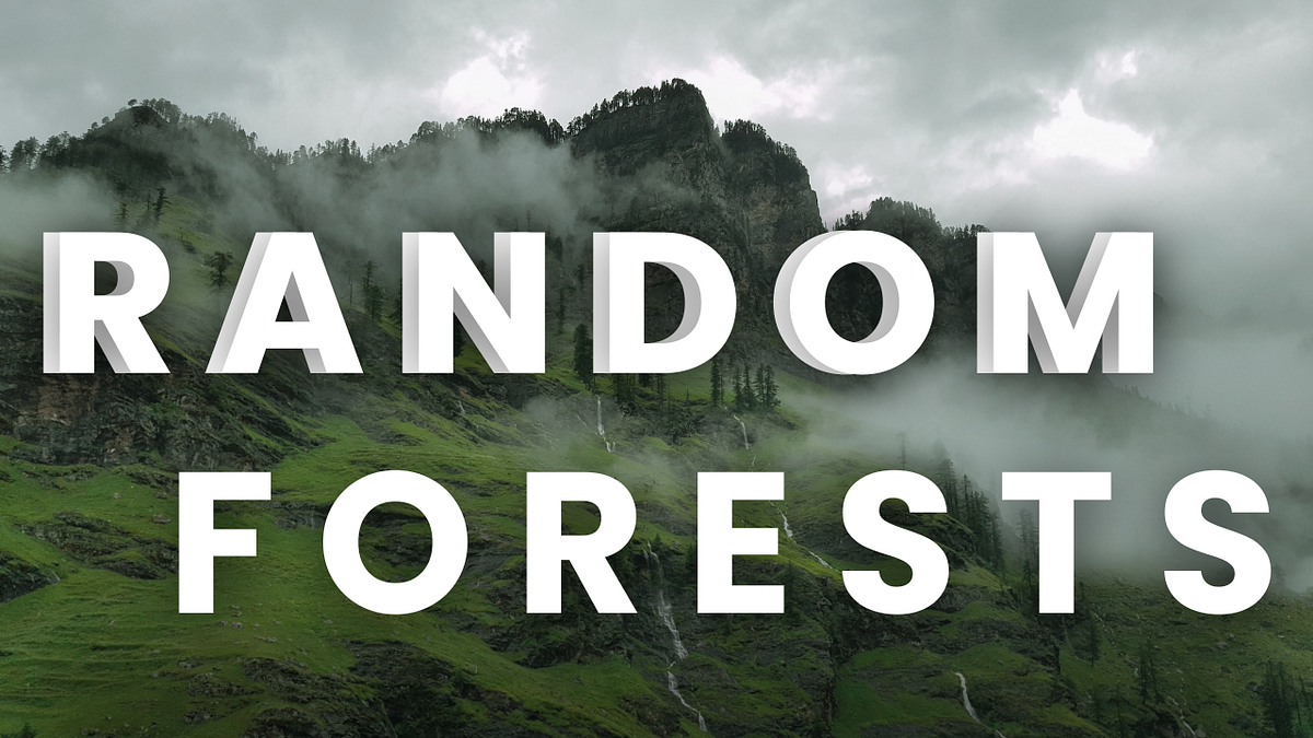 Random Forests: A Beginner’s Guide | by YDewz | Stackademic