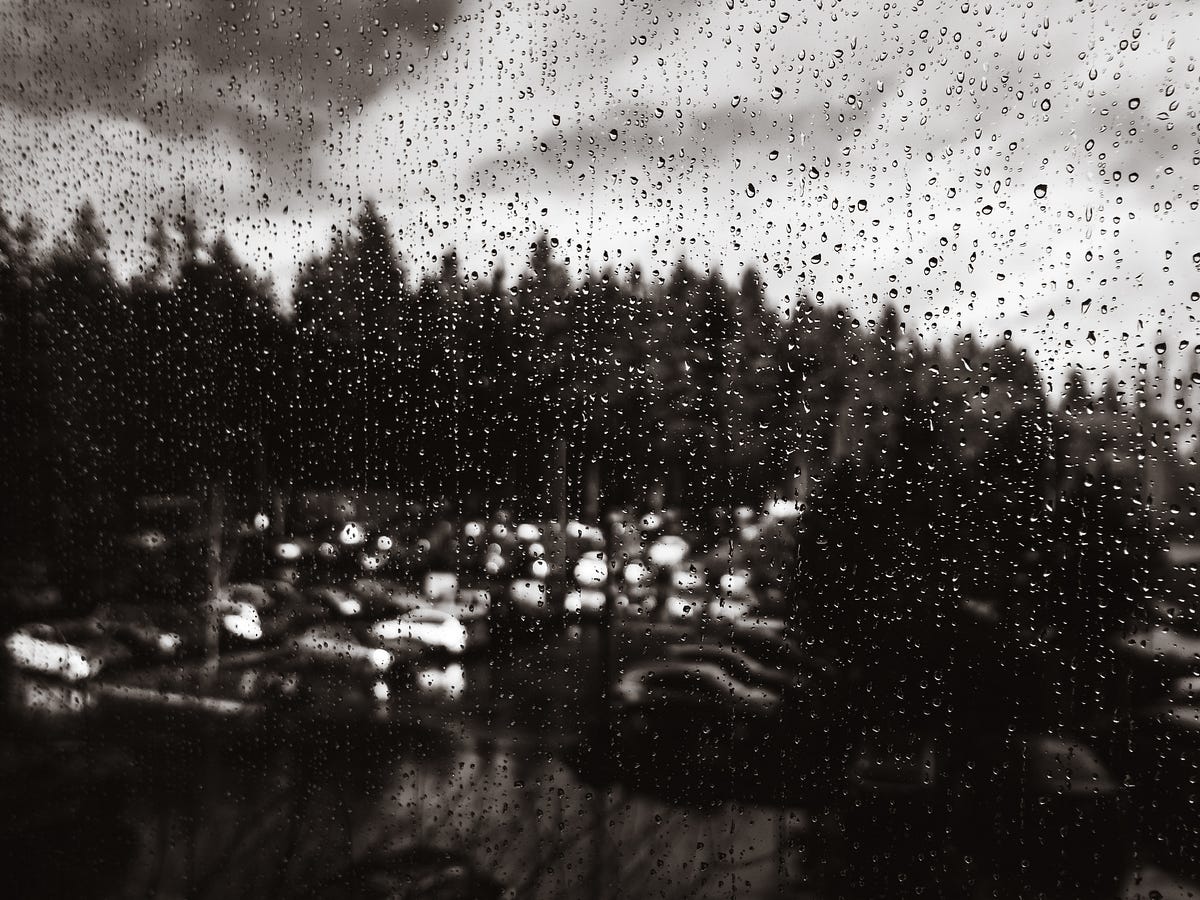 2018 — day 11. OK, so it’s been rainy and dreary in… | by Mark Gladding ...