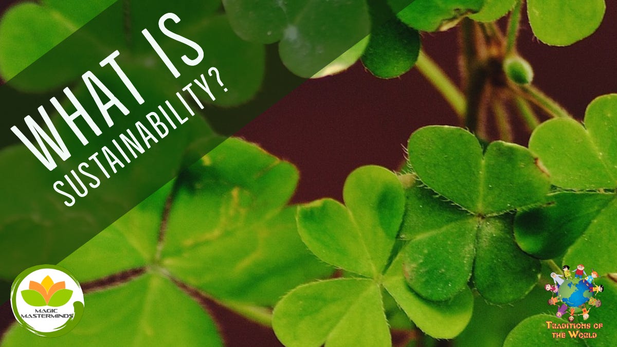 Rephrasing Sustainability. Why We Need to Become Sustainable… | by ...