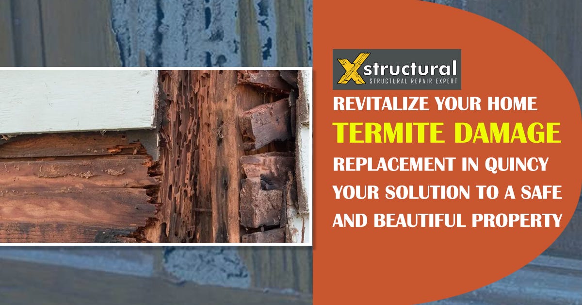 Revitalize Your Home: Termite Damage Replacement in Quincy — Your ...