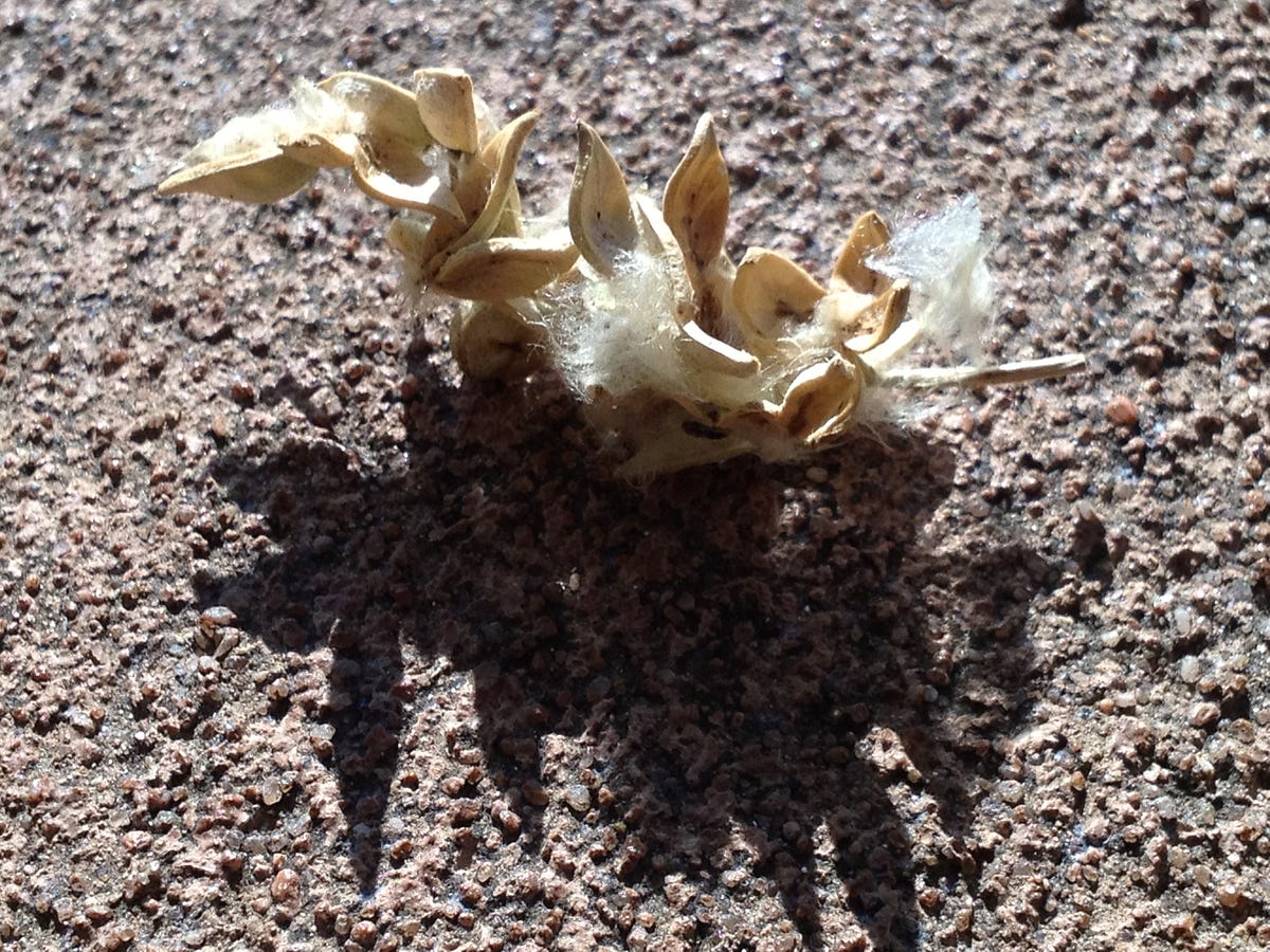 Breakable Jesus. Vulnerability & Eternity | by Joshua Varner | Medium