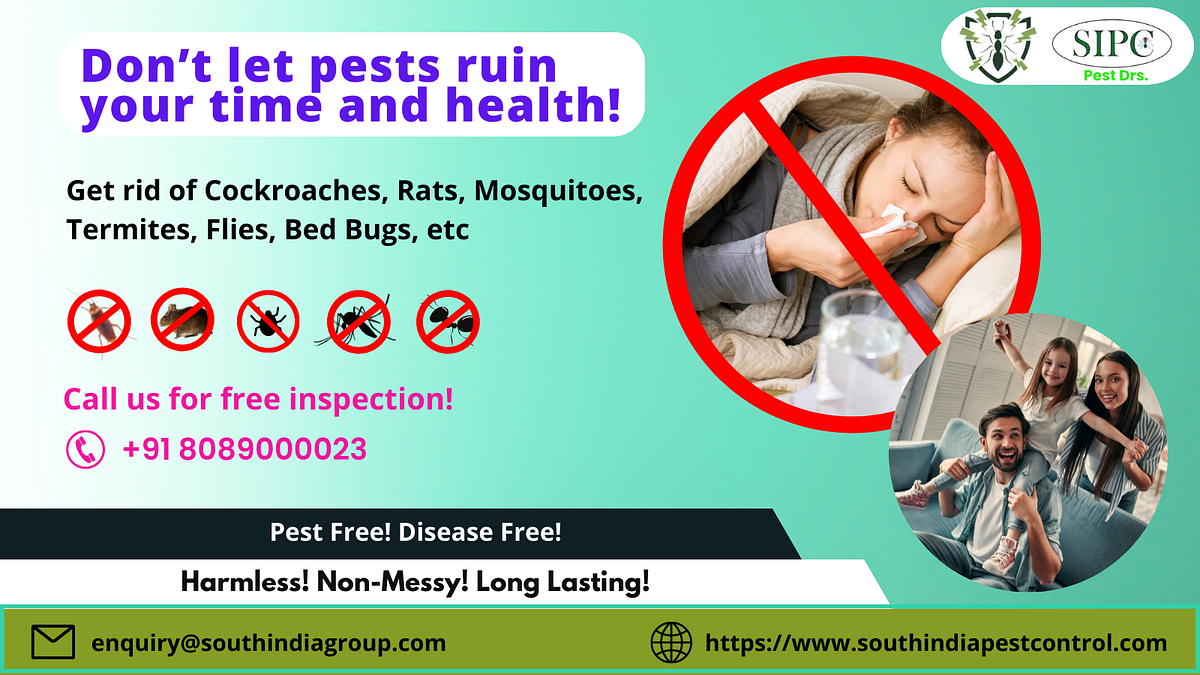 Why do we need pest control services? Looking for a Pest Control ...