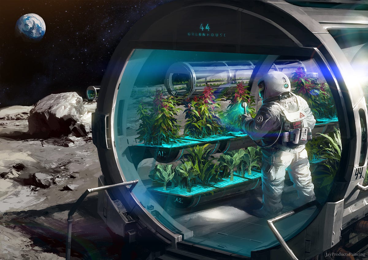 Farming in Space. We can think of space agriculture as a… | by Lifewisp ...