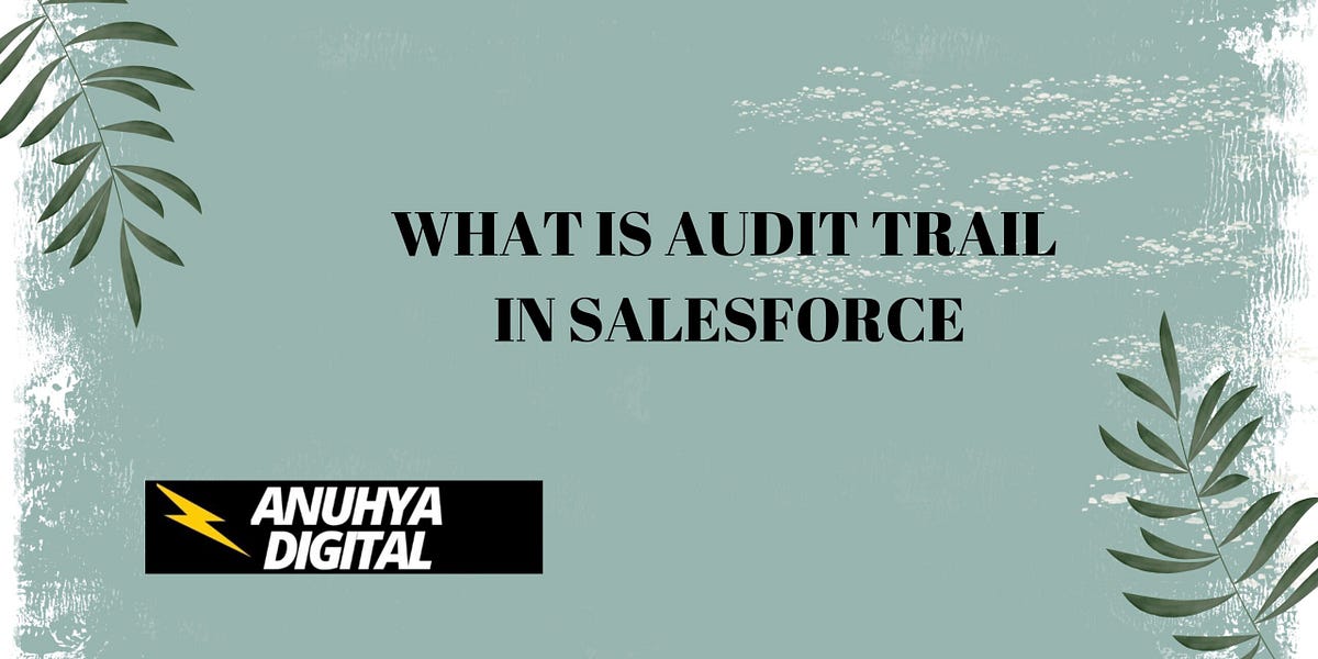 What is Audit Trail in Salesforce | by Anuhya digital | Jul, 2024 | Medium