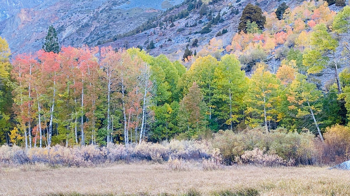 GPU Memory Profile in Tensorflow. Set up tensorboard to help memory… | by Xingsheng Qian | Medium