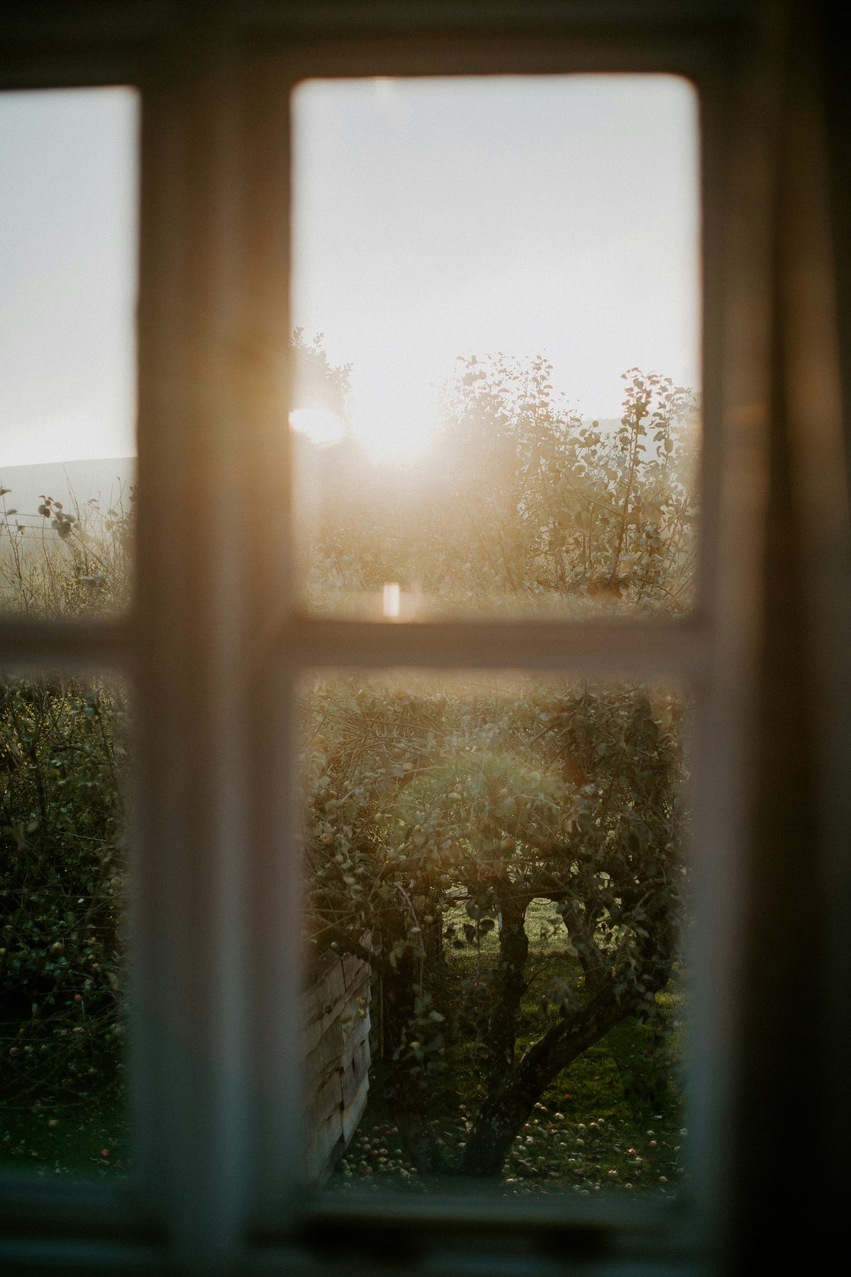 Sacred Mornings. A poem on slow moments at home | by Marilee | Reaching ...
