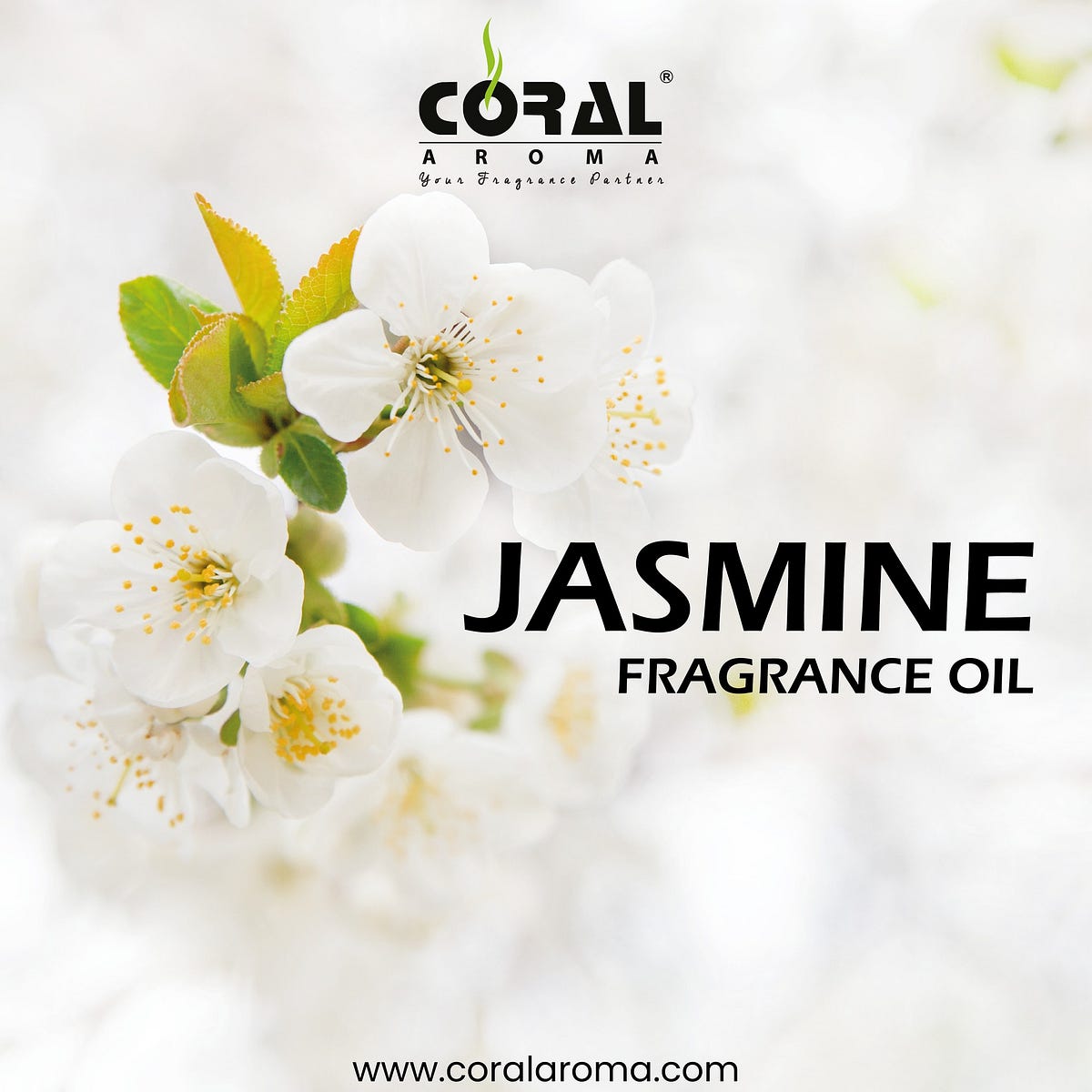 Jasmine Fragrance Oil - coralaroma - Medium