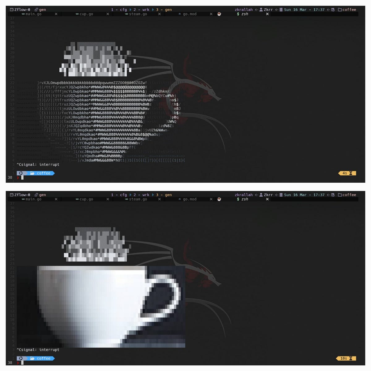 ASCII/ANSI Image Converter and Particle System in Go | by Zkrallah | Medium