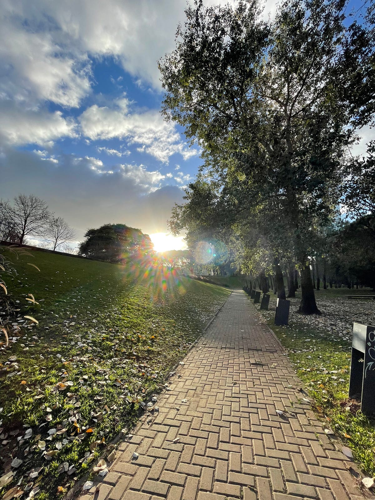 Haz lo que sientas. “Vamos a morir todos, todos, ¡qué… | by Jonathan Martell | Jonathan Martell ...