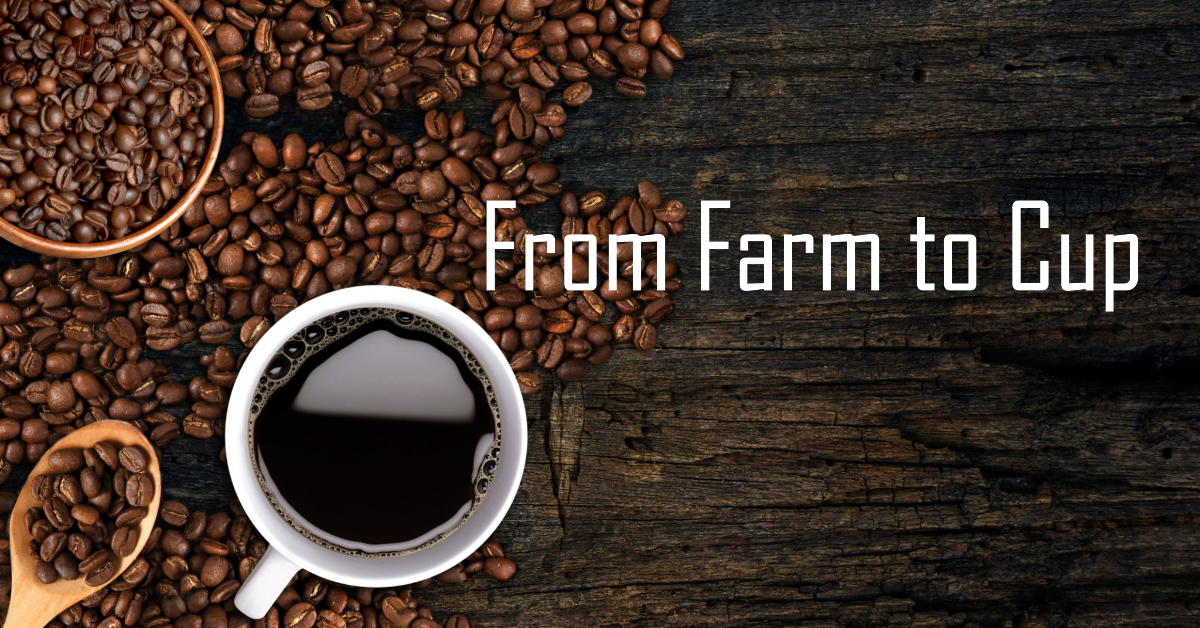 From Farm to Cup: The Journey of Specialty Coffee Beans | by MICHAEL WESONGA | Medium