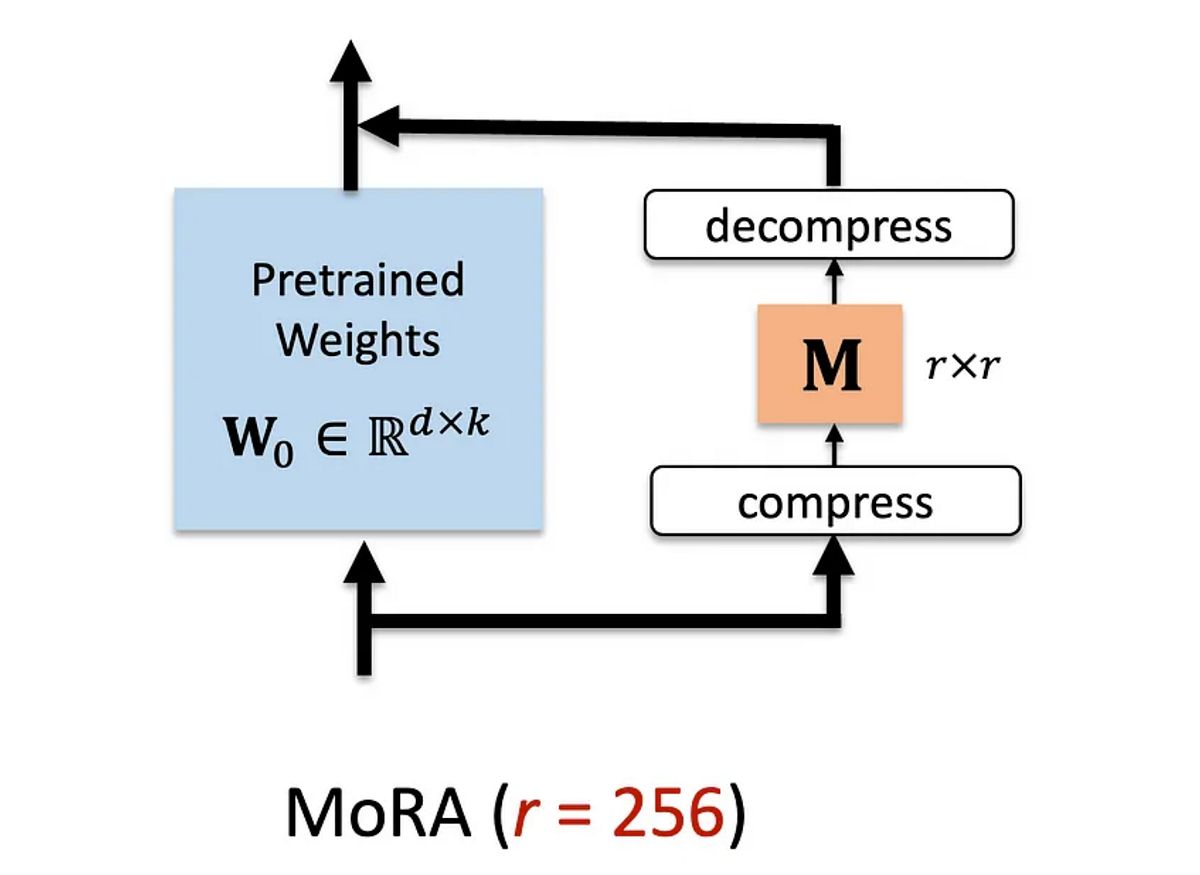MoRA: Enabling High-Rank Updating on Parameter-Efficient Fine-Tuning ...