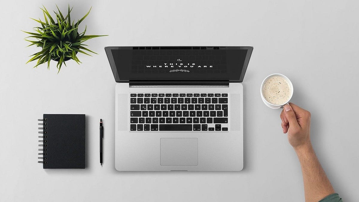 Write Your First AI Project in 15 Minutes | by Doga Ozgon | Becoming ...