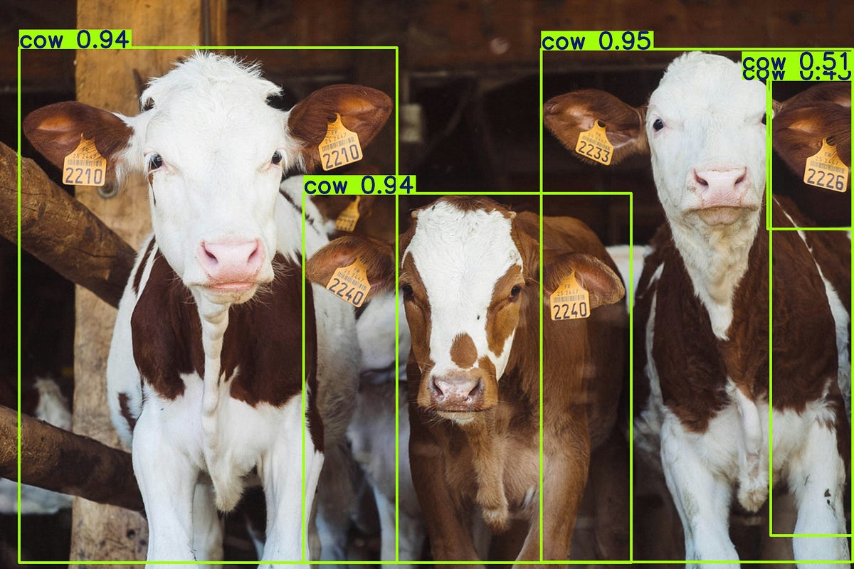 Real-Time Object Detection with YOLO and ONNX Runtime in C++ | by Alexander Taffe | Medium