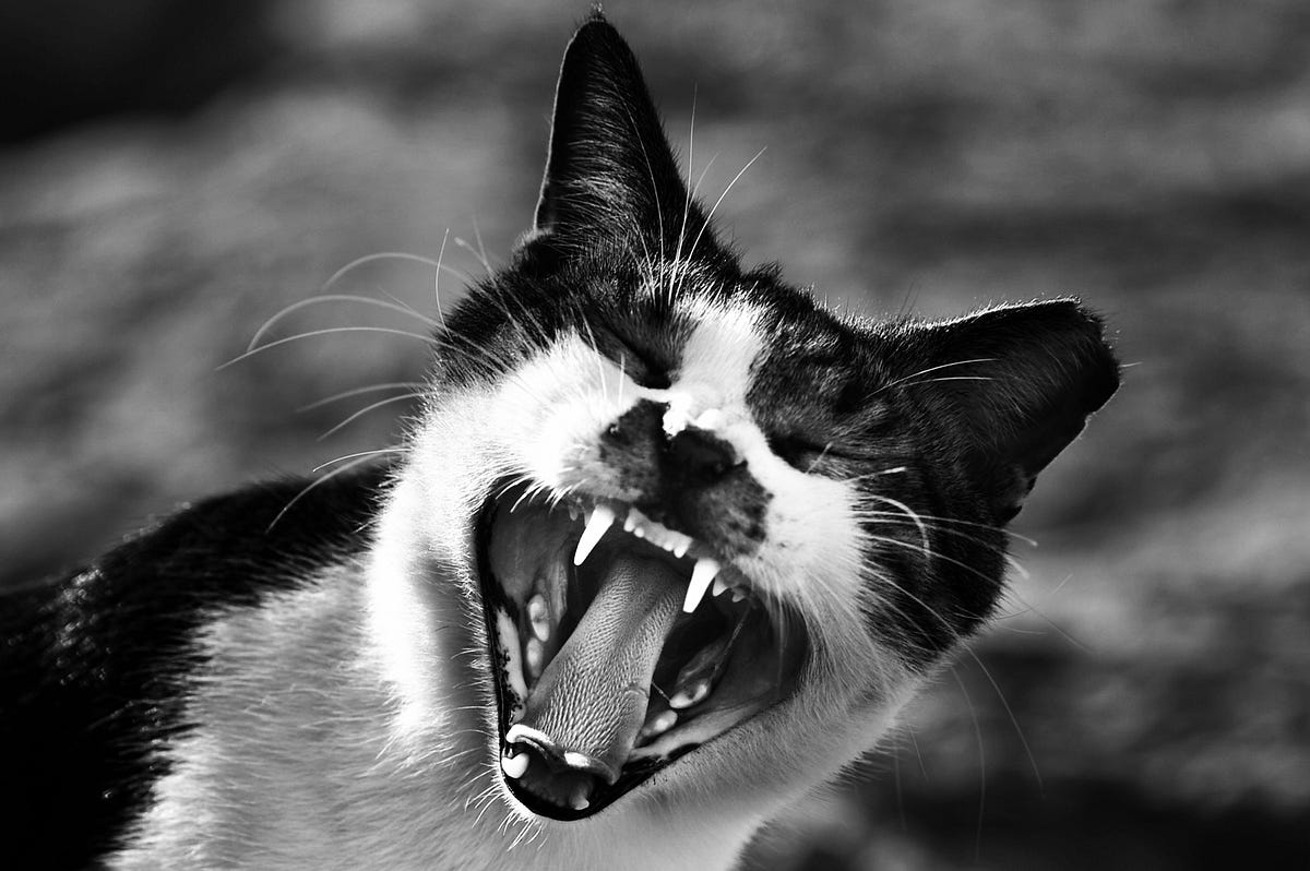 5 Simple Strategies To Shake Off The Funk | by Christin Bummer | Medium
