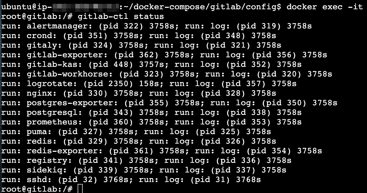 Gitlab錯誤排查步驟. Gitlab error troubleshooting steps | by Hachibye | Medium
