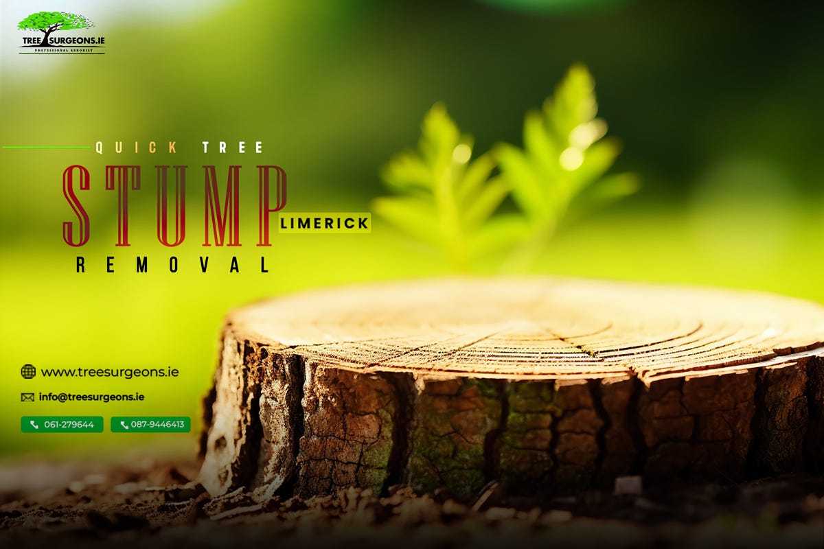 Professional tree stump removal service: The Ultimate Guide | by Tree ...