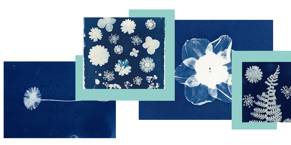 Rejuvenating Cyanotypes Photography from Indian Artisans - ExpoBazaar ...