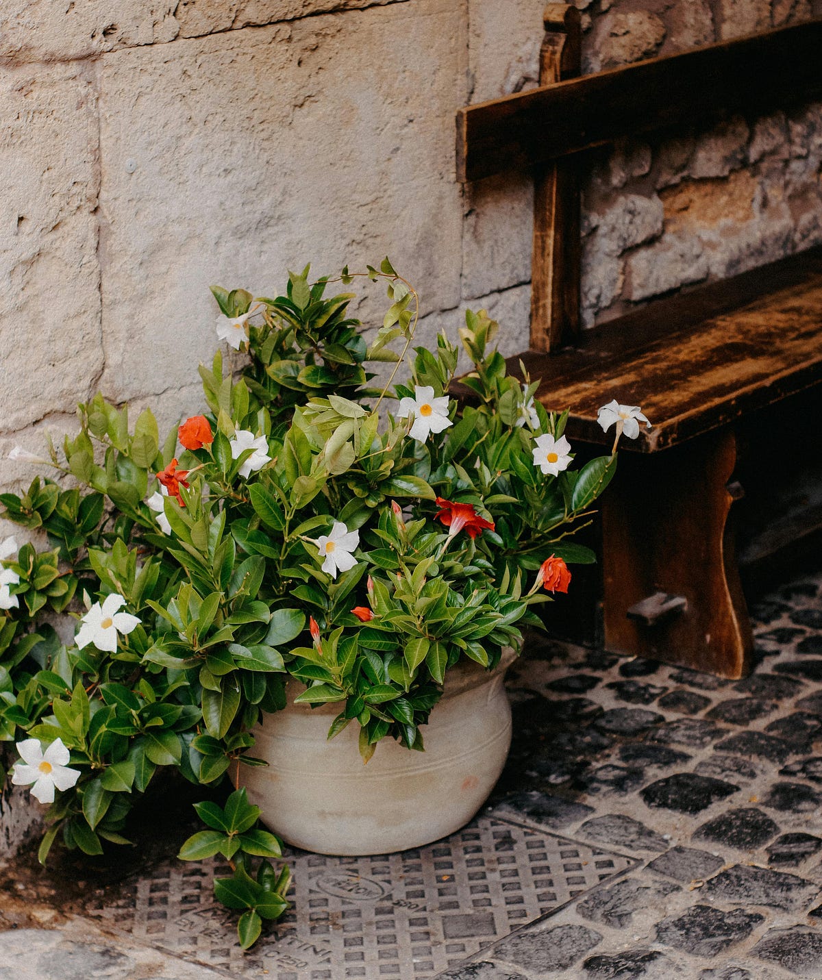 Personal Growth through Reading | Medium
