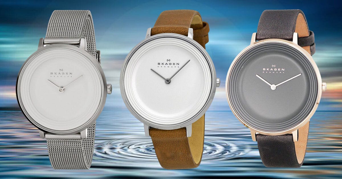 The Classic Skagen Ditte Women’s Watches: A Timeless Classic | by ...