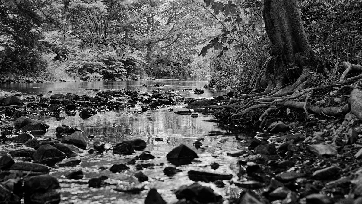 River Walks and Where Documentary Project Ideas Come From | by Bojan ...