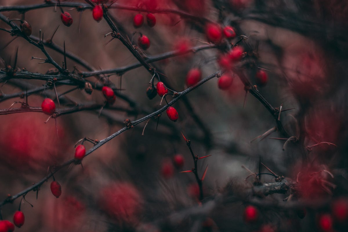Sacred Rite. An ode to menstrual blood | by Caroline Mellor | Scrittura ...