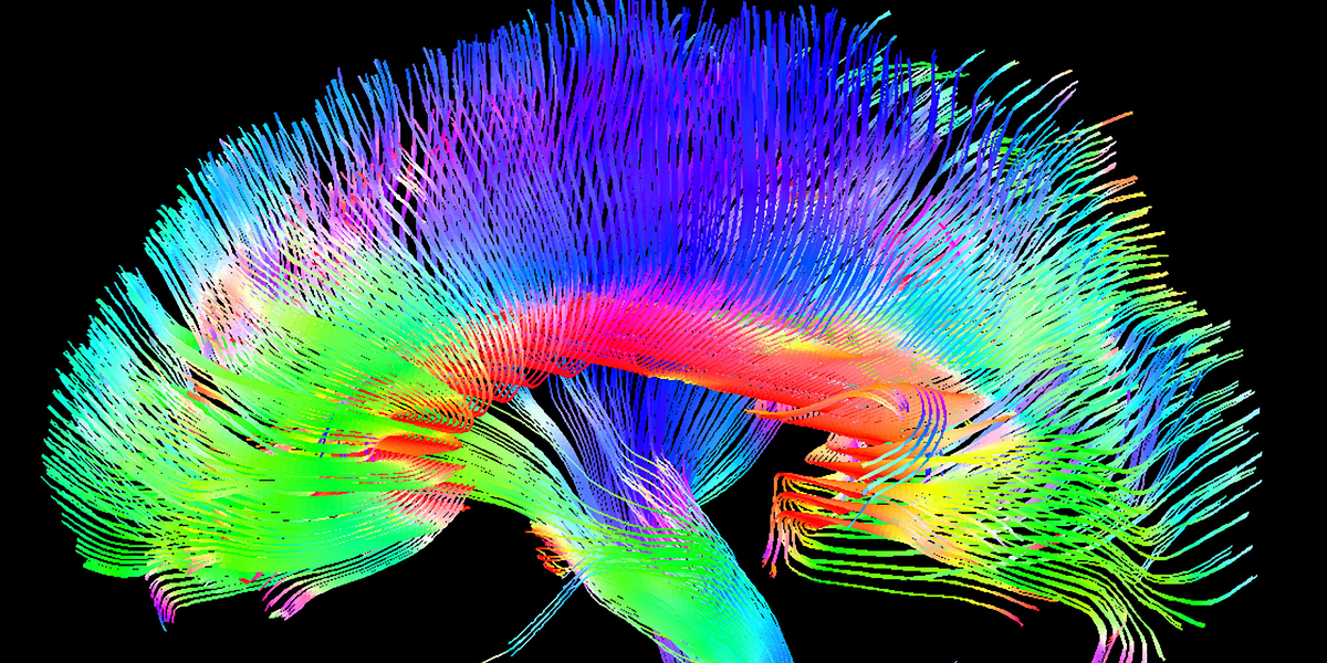This 15–30 Minute Routine Makes Your Brain Healthier, Younger, And ...