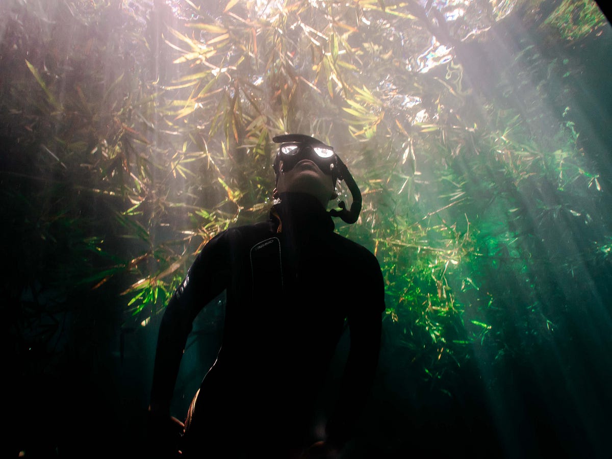 A Tale Of Water And AI (Elevating Underwater Photography with AI ...