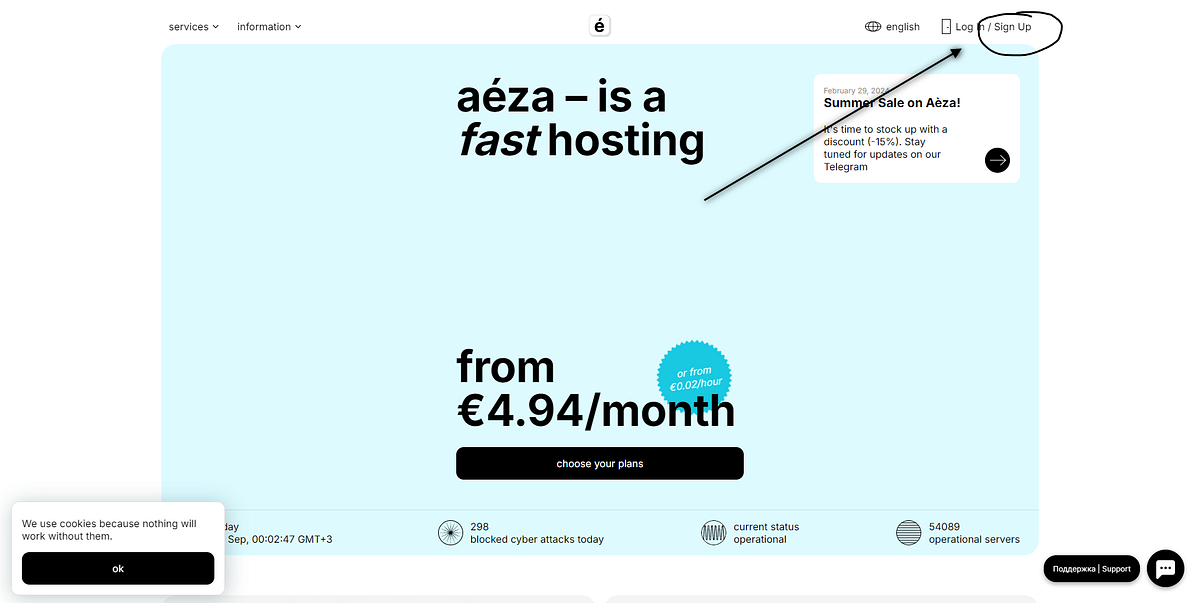 Unlock the Power of Virtual Machines with AEZA’s Terminator | Medium