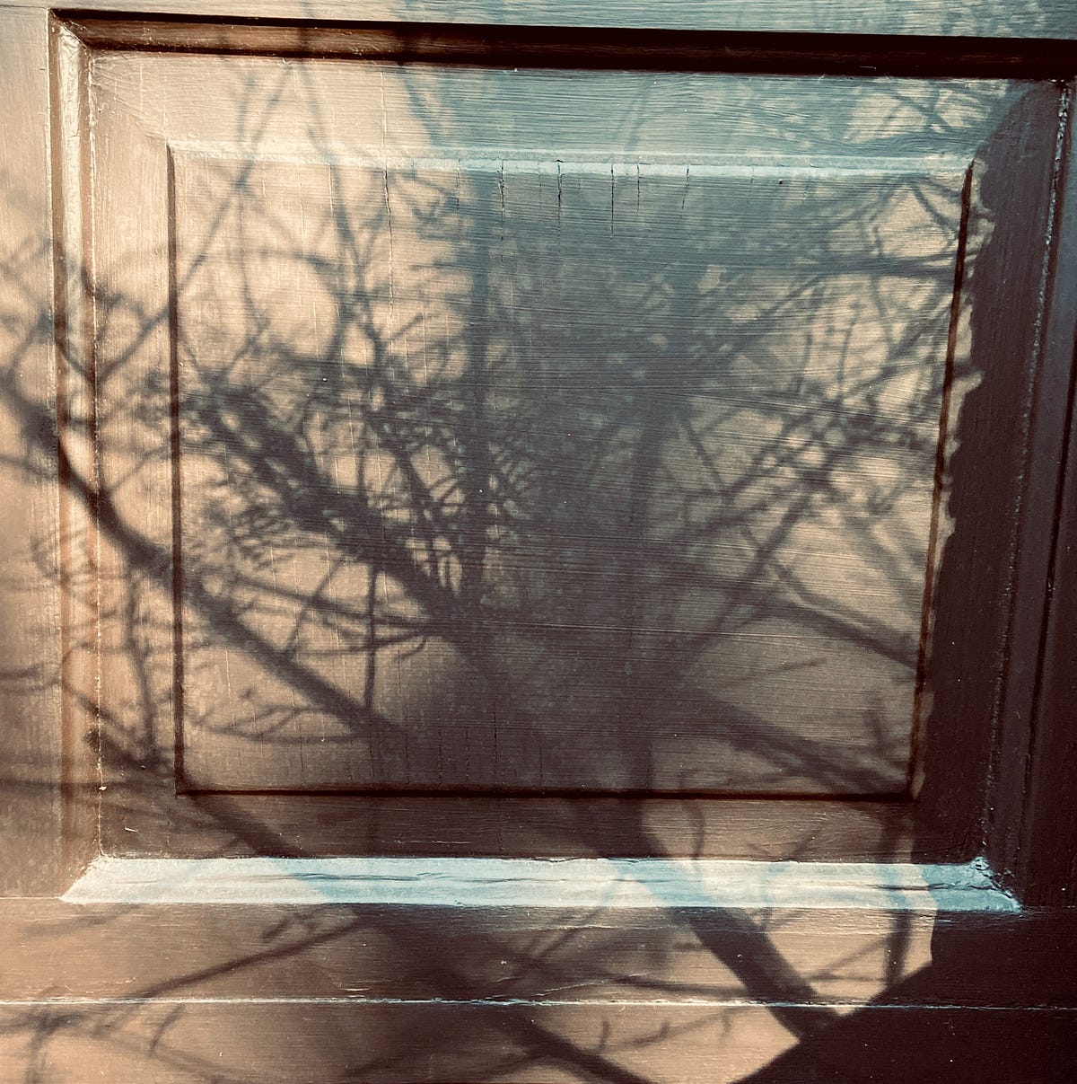 Winter shadows - Bruce Black - Medium