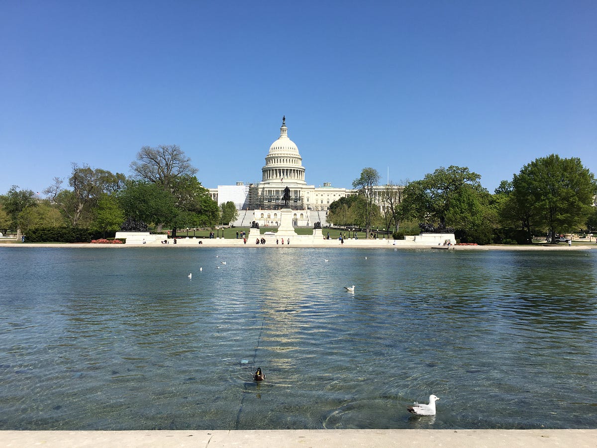 Our Nation’s Capital. Washington D.C. is rich in history and… | by ...