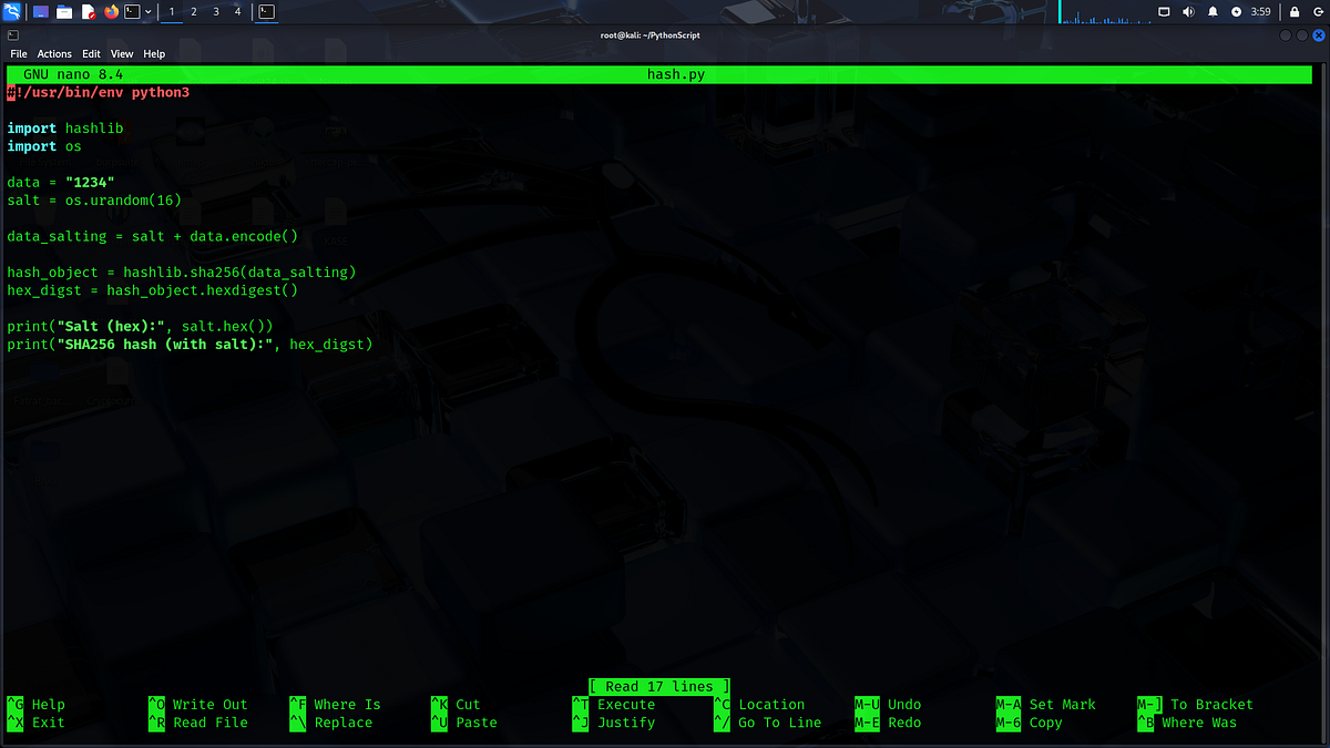 How to Hash Passwords in Python — A Beginner-Friendly Guide | by Yaqubnasibov | Medium