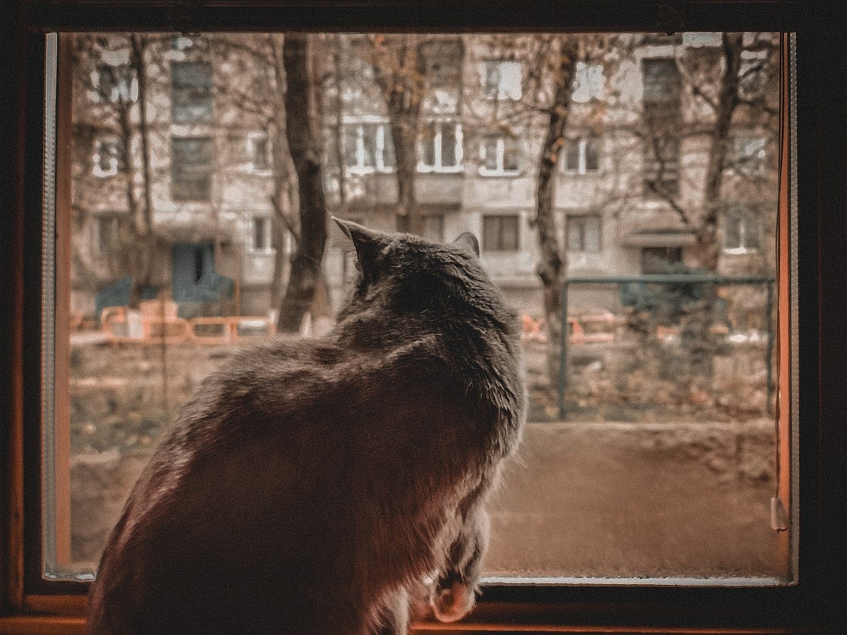 Forlorn - A man leading a simple life - Medium