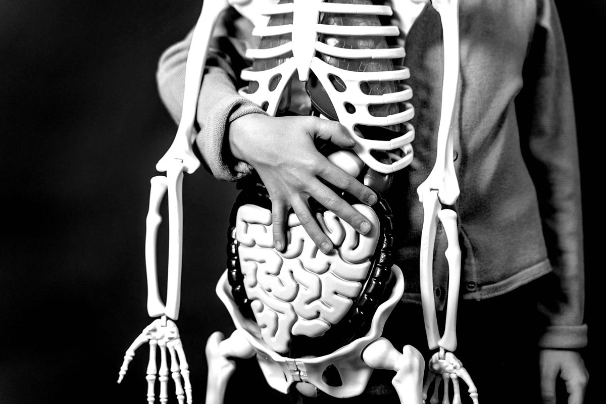 Primitive instincts. Stay close to your family and friends… | by Andy ...