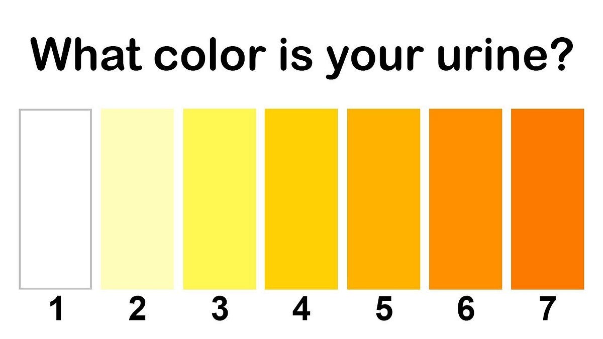 What The Color Of Your Pee Says About Your Health By Prakesh Test Medium