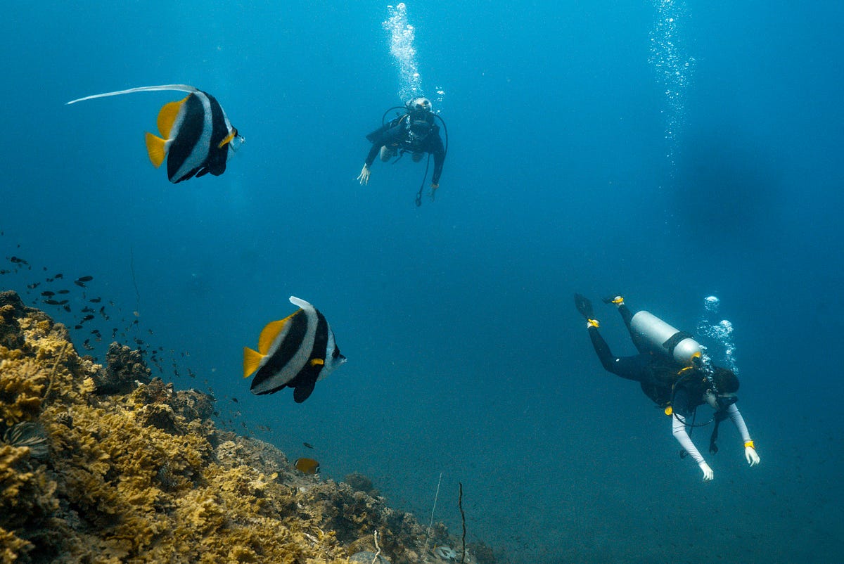 First time — Scuba, Surfing, Hiking | by Panthira Tiewcharoen | Medium