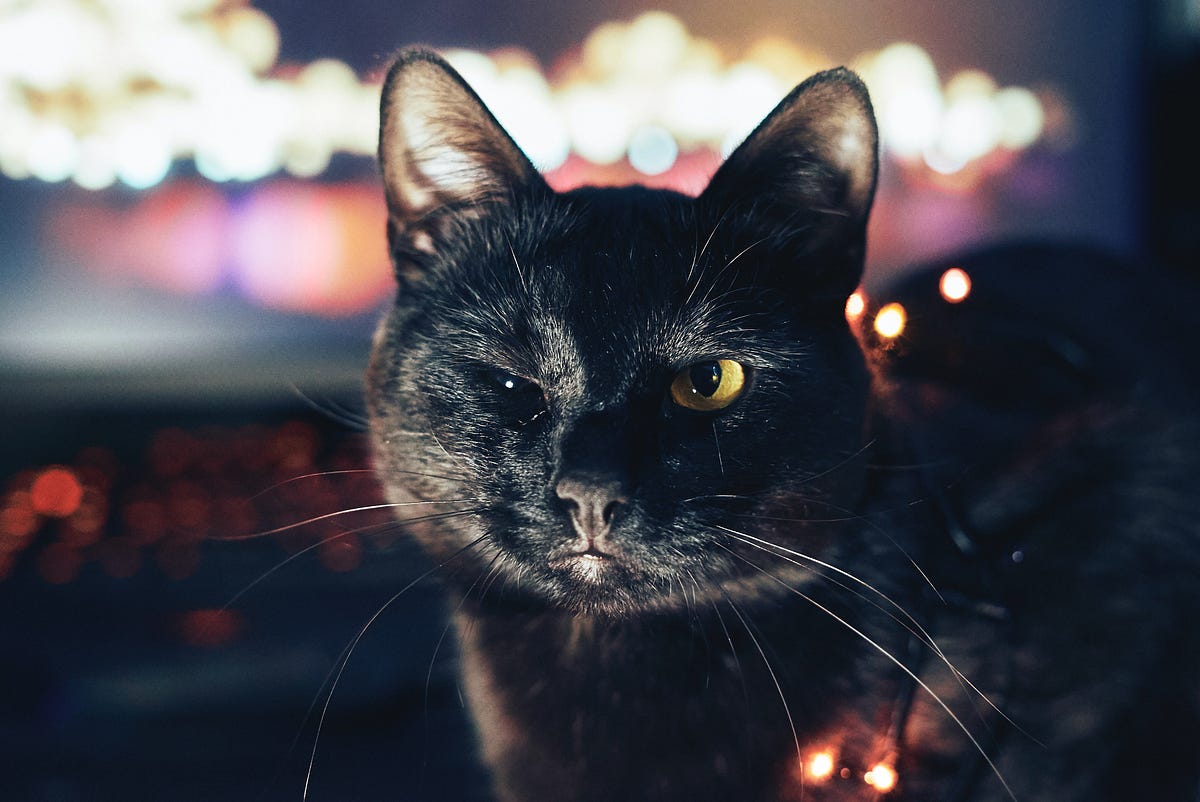 Copycats Debunked: 5 Miserable Reasons Why People Just Can’t Stop ...